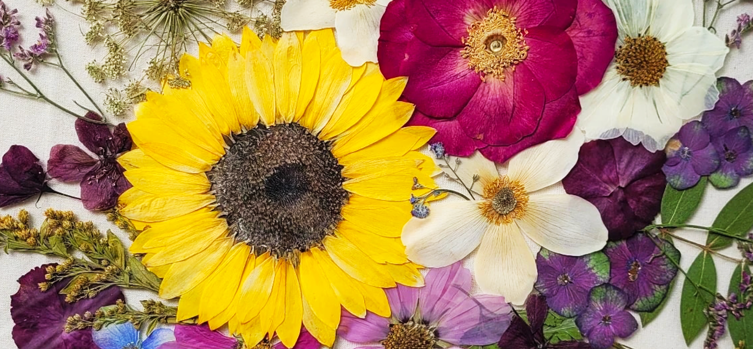 Pressed Flower Art | The Flower Bandits | Kilkenny